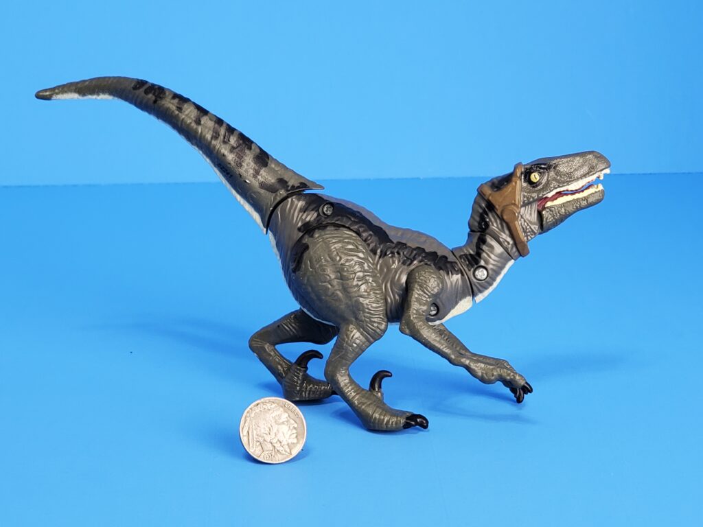 Jurassic World Hasbro Raptor – OB Toys